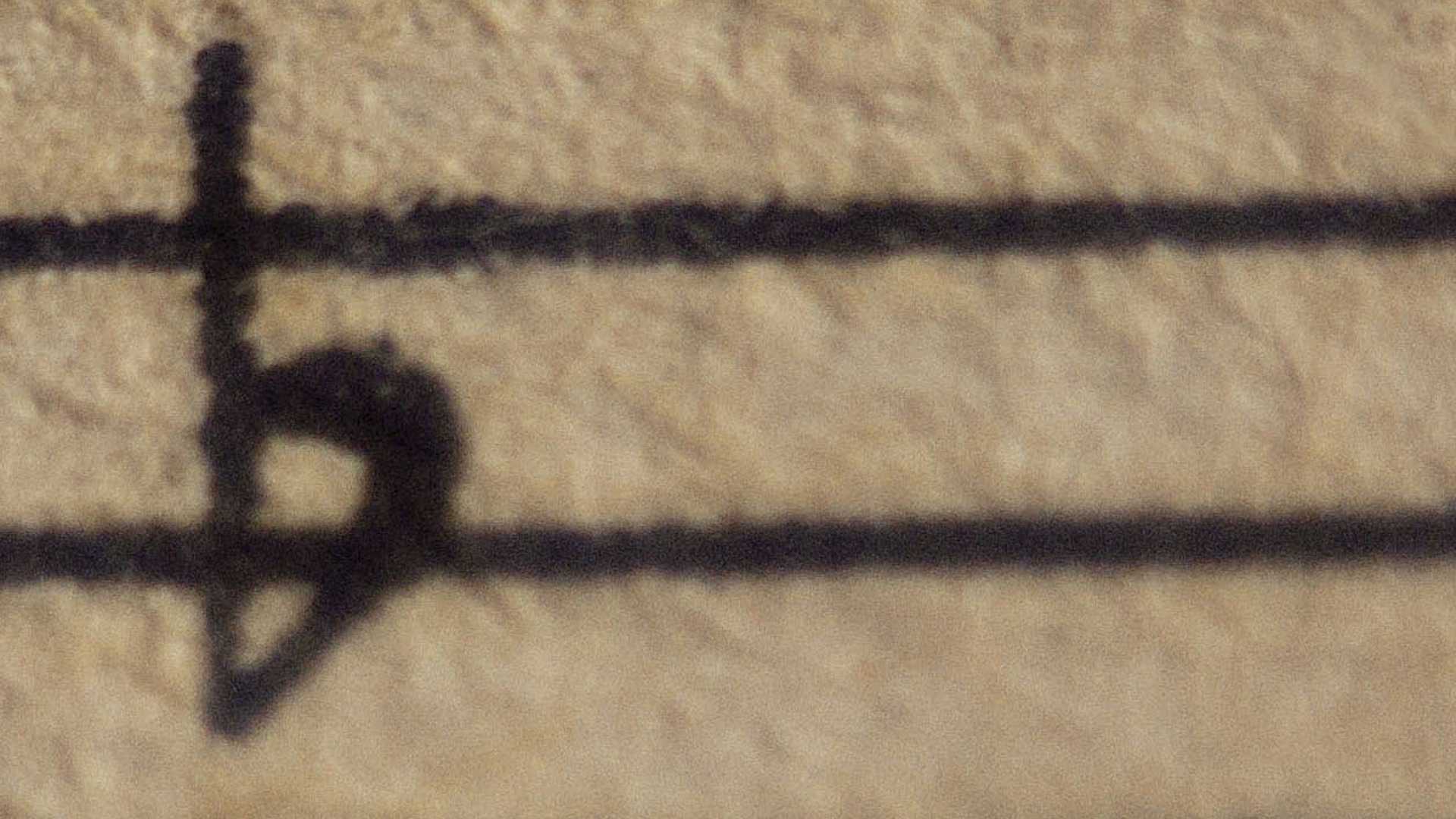 What’s the Difference between Sharp and Flat? - Audio MAV